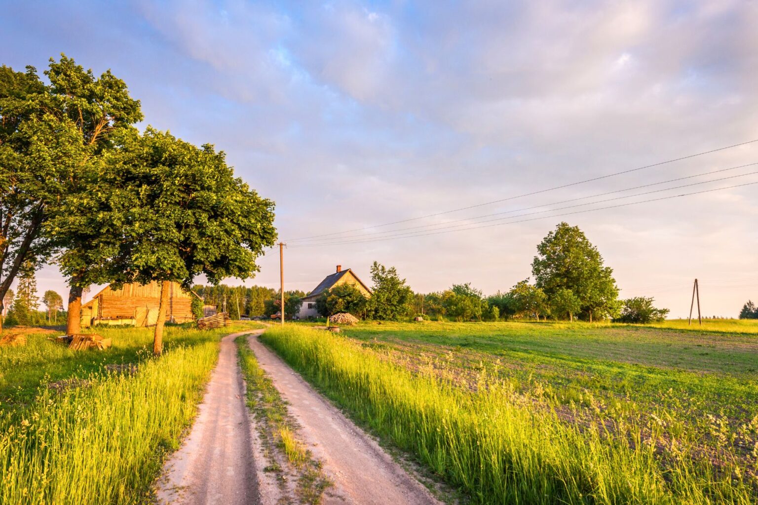 Expedia Extranet: Guida e Consigli per Hotel - Riccardo Peccianti